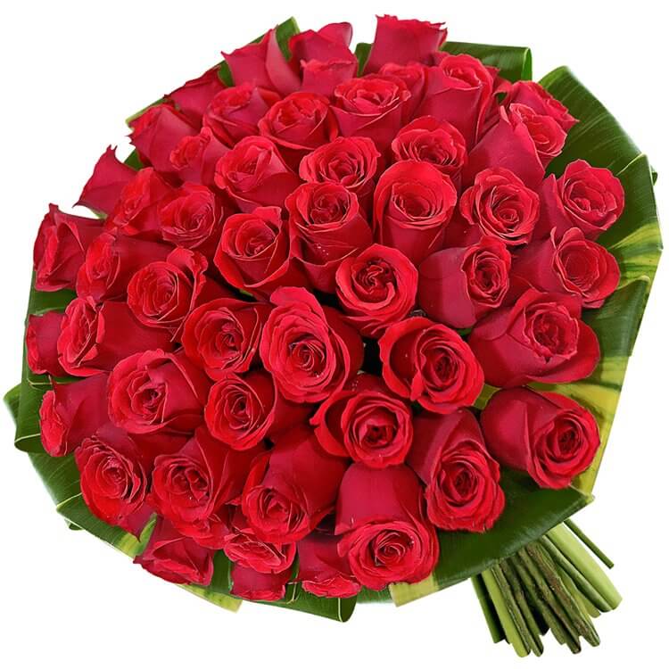 Buquê Rosas Vermelhas 50 Botões – Lotus Floricultura
